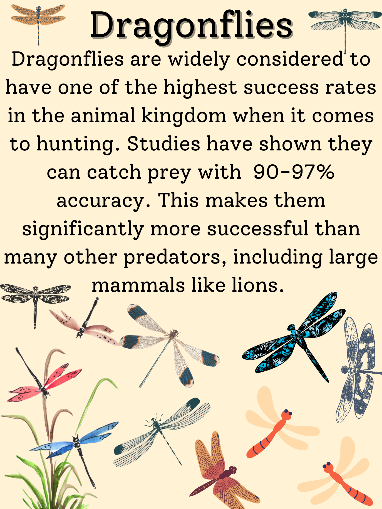 Did You Know? – Heather Congrove
