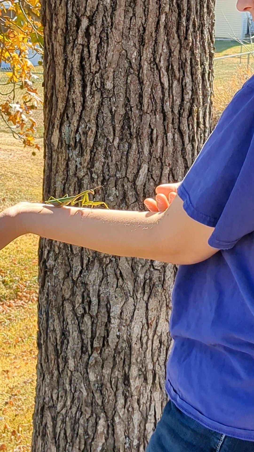 Bugs are Important Too – Heather Congrove