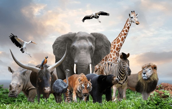Everyone Has a Favorite – Heather Congrove